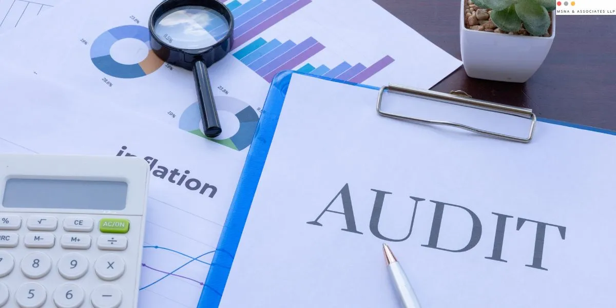 Risk Management Audit| MSNA & ASSOCIATES